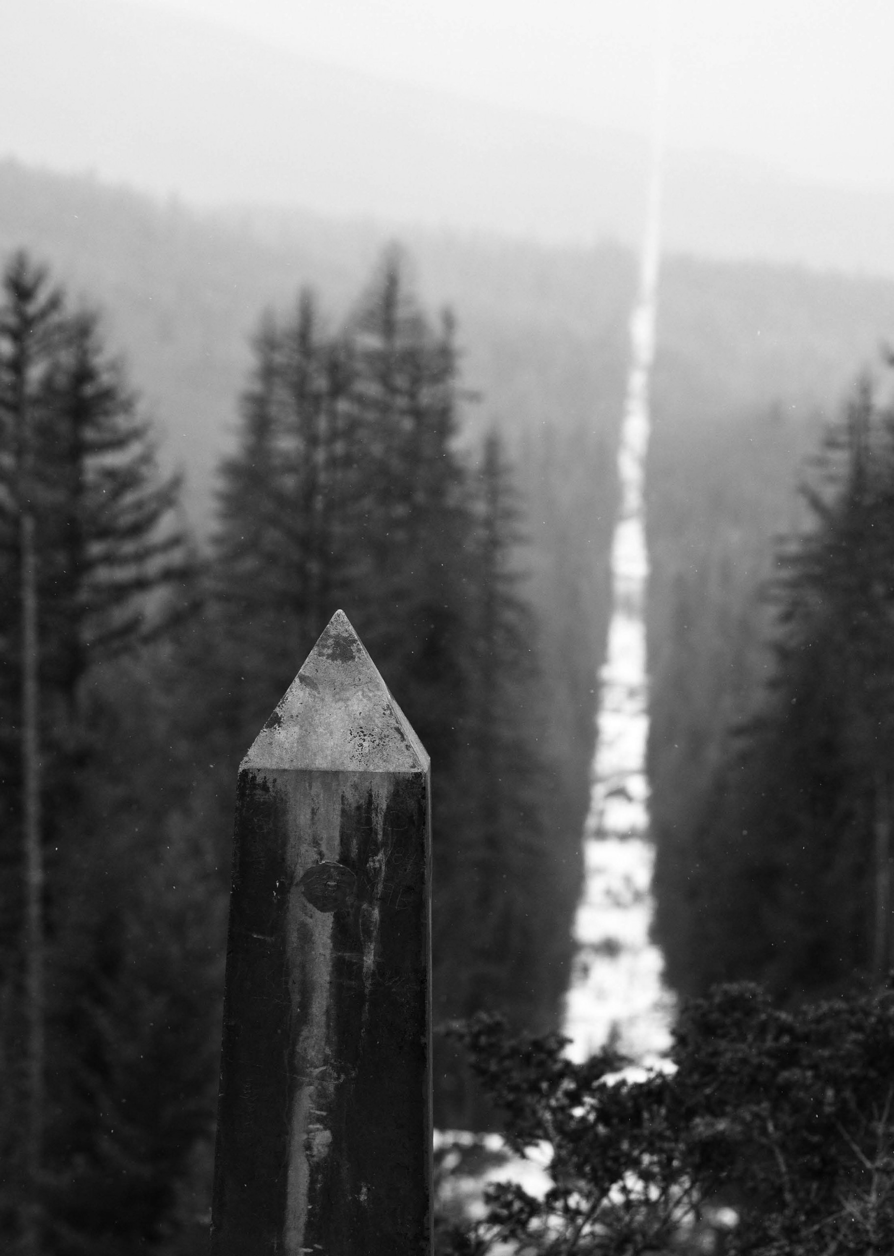 Pathways | Literary Review of Canada