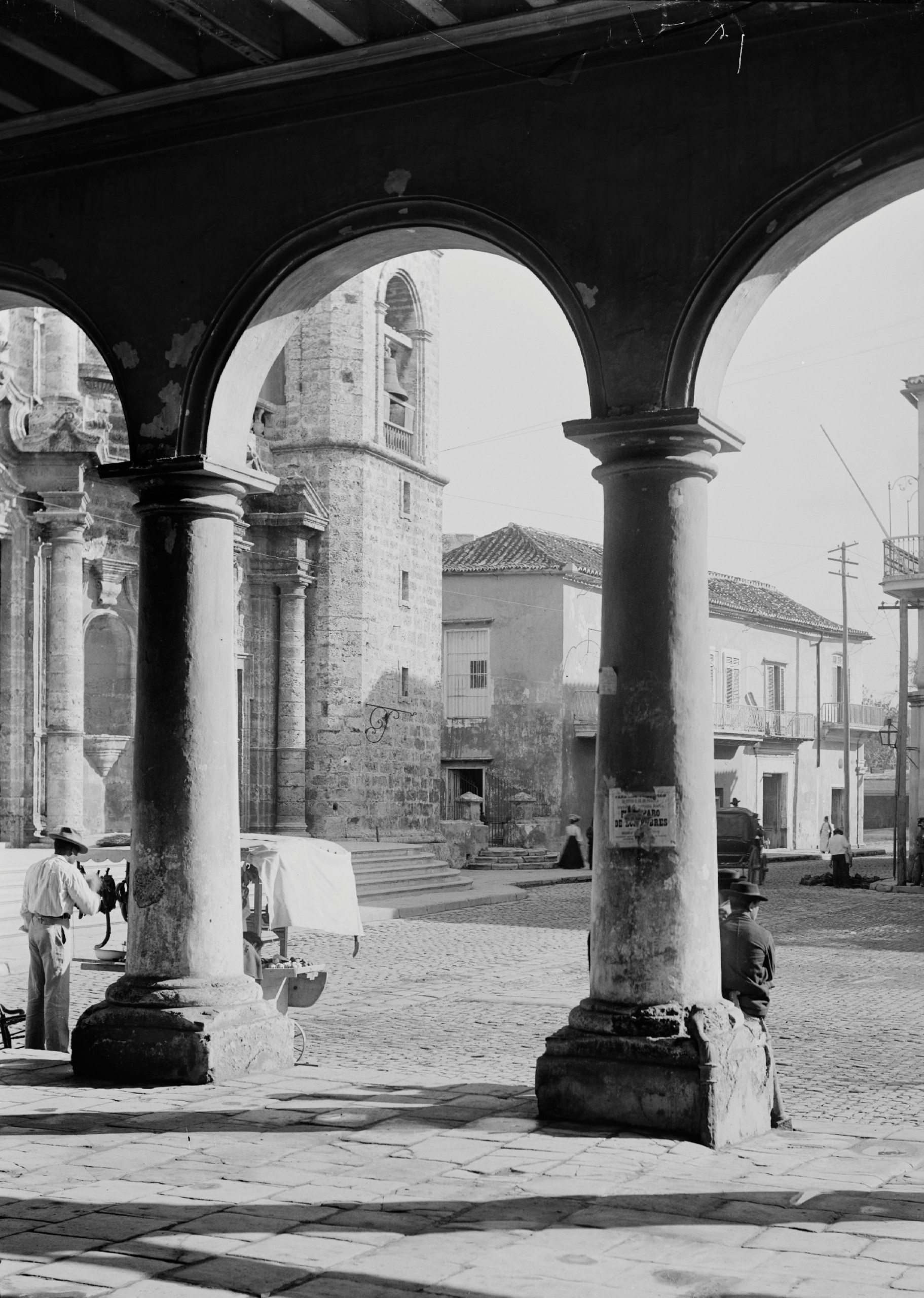 The Cuban Evolution | Literary Review of Canada